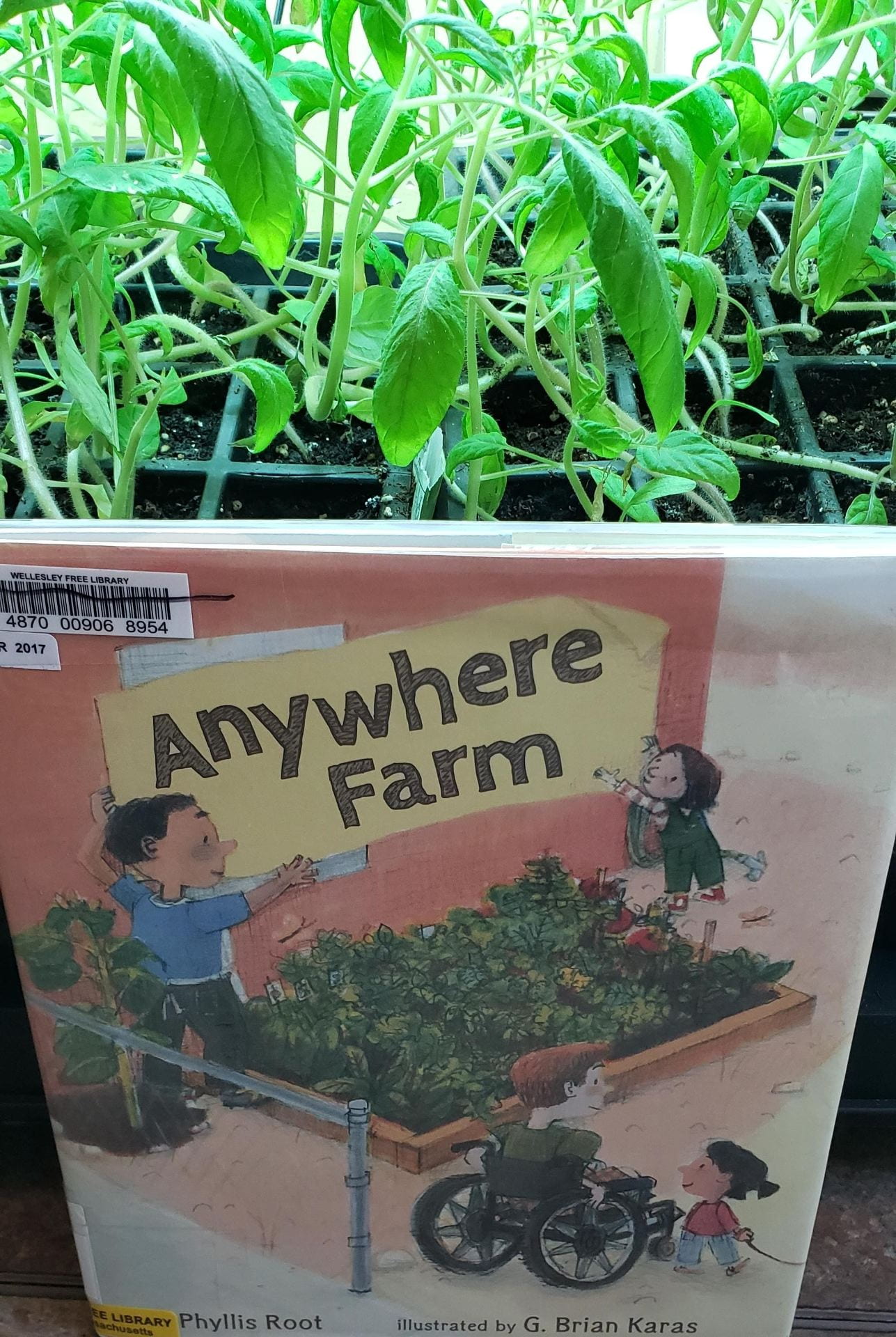 Anywhere Farm- Let’s plant seeds! – Ag In Elementary